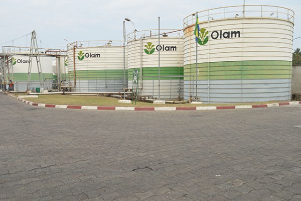 Huile de palme : L’usine Olam Palm Lambaréné désormais certifiée ISO ...