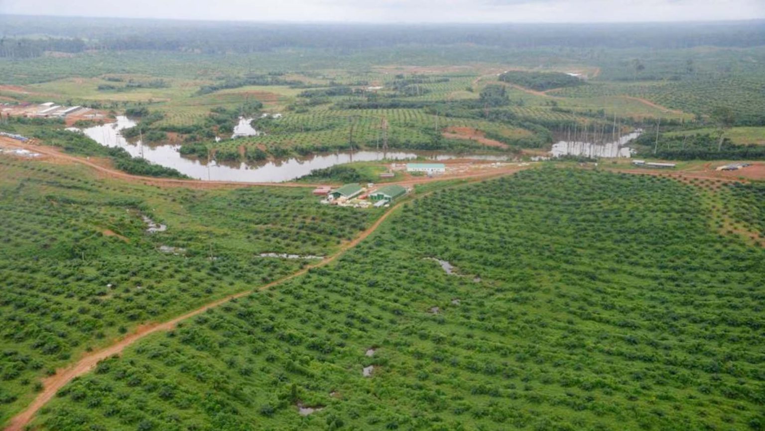 Gabon : Une baisse de 2,9% au 4e trimestre 2022 dans l’agriculture de ...